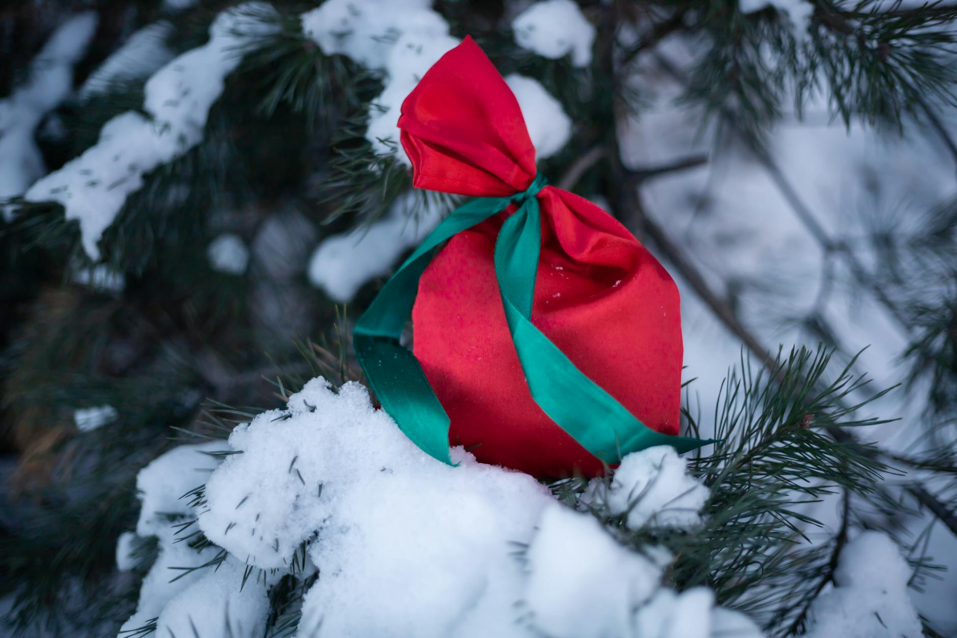 Holiday Spirit, Canned & Ready: METTLE – The Perfect Festive Pouch for ...